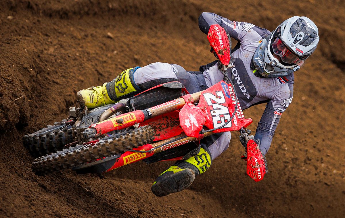 MX Large