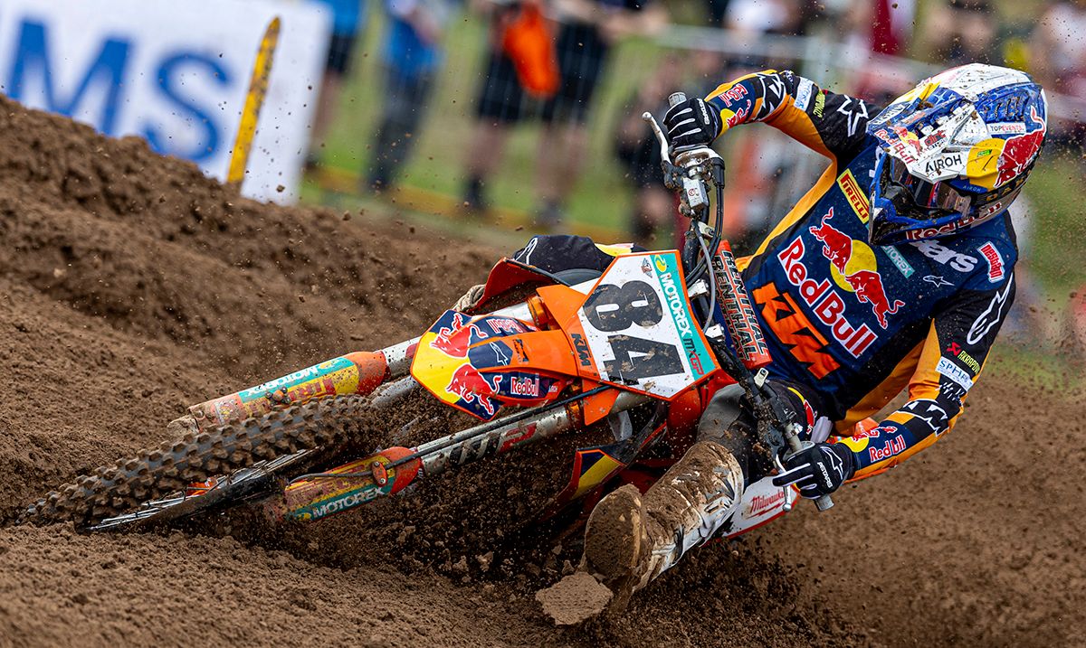 MX Large