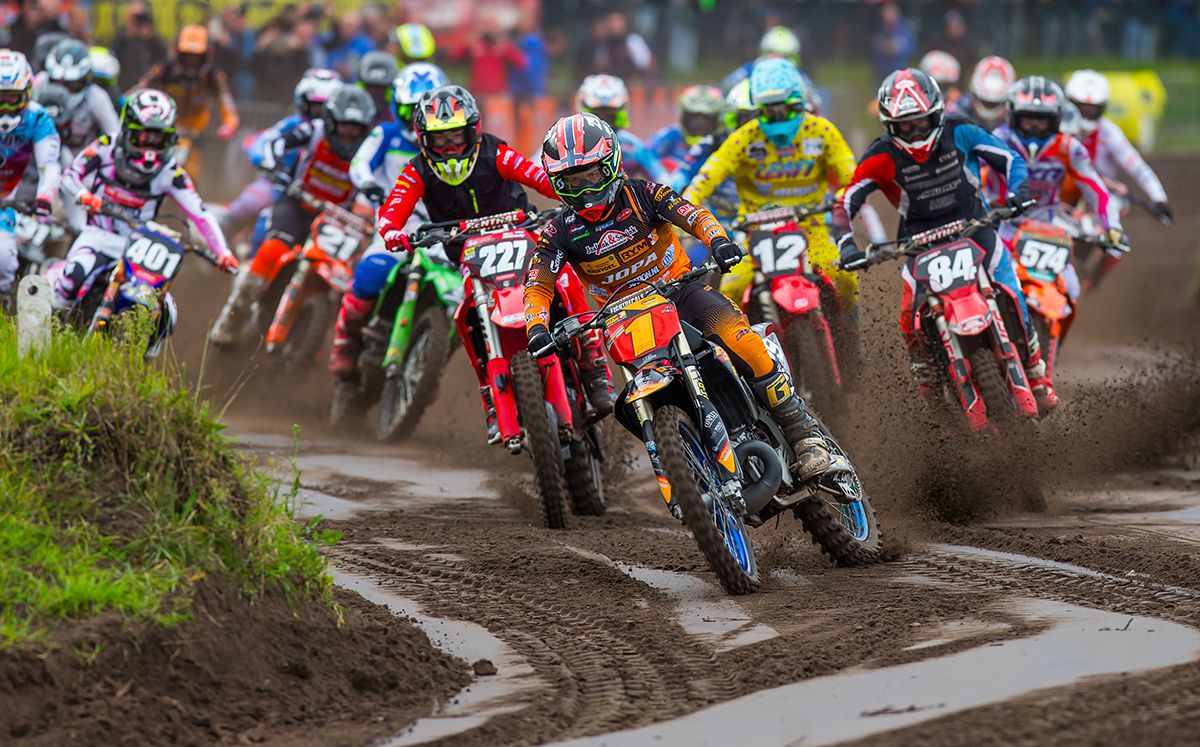 MX Large