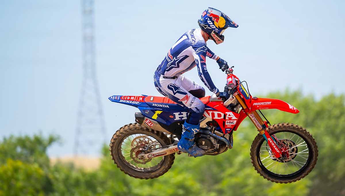 MX Large