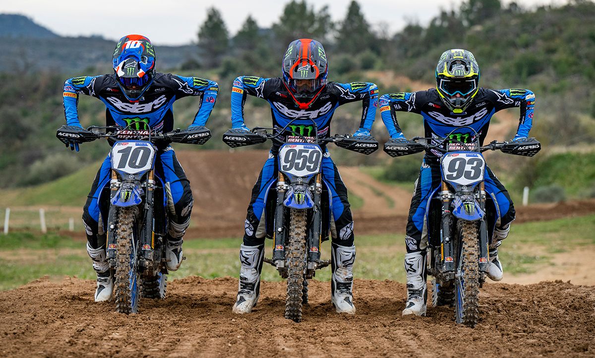 MX Large