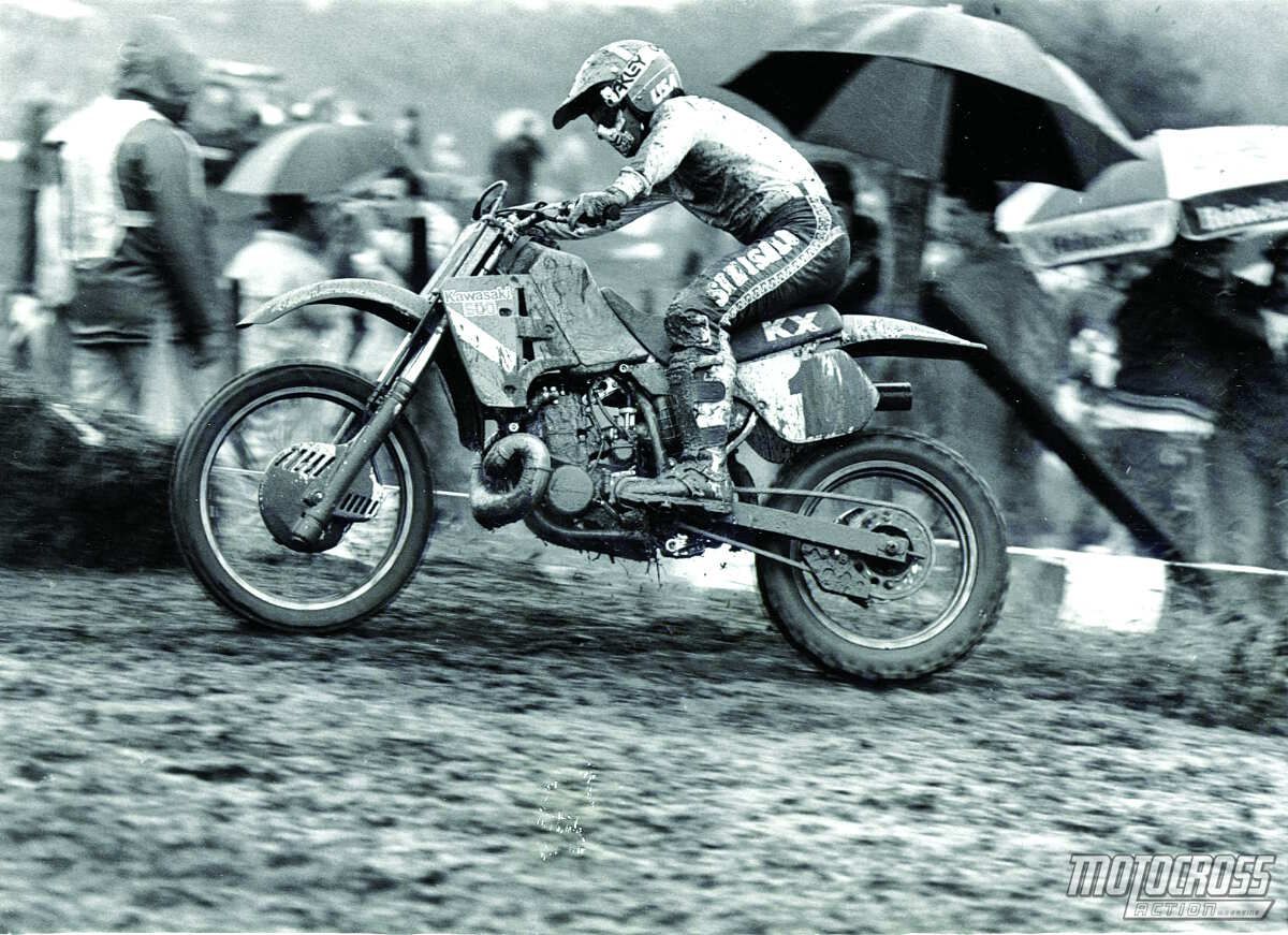 MX Large