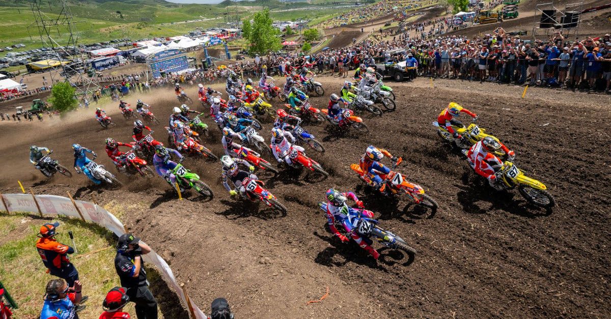 MX Large