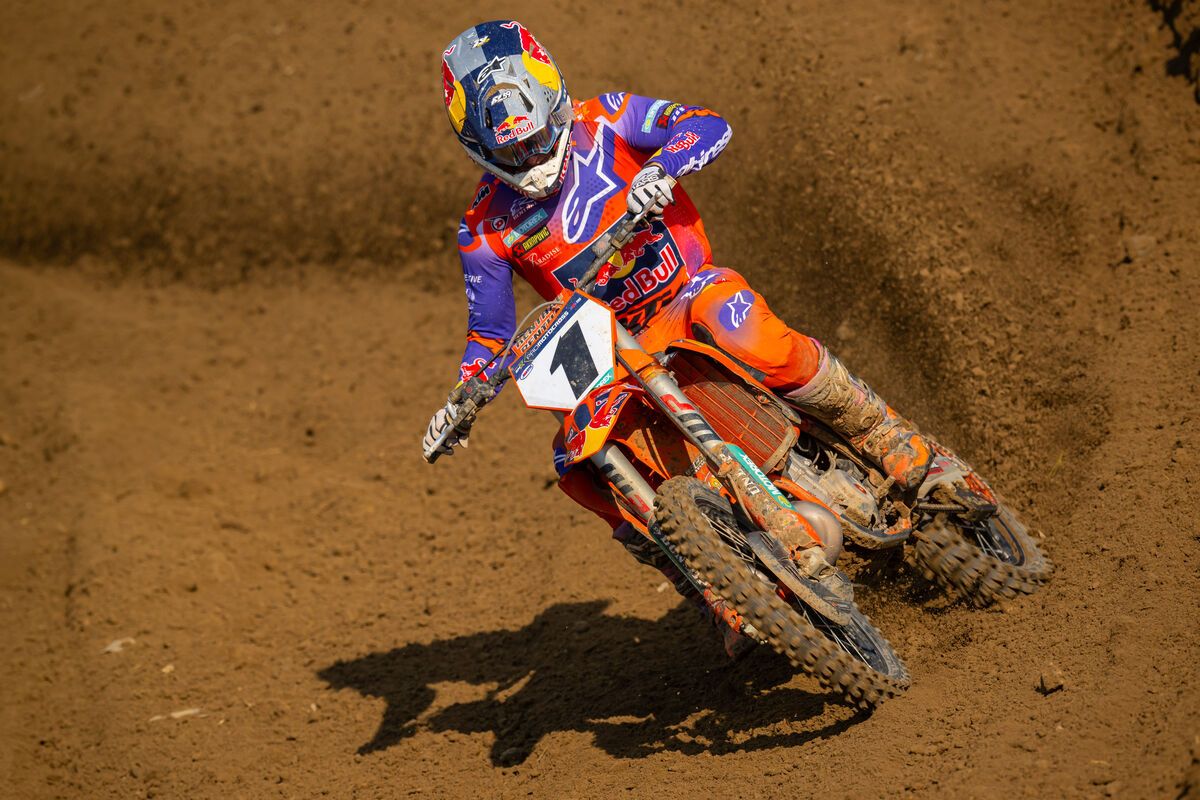 MX Large