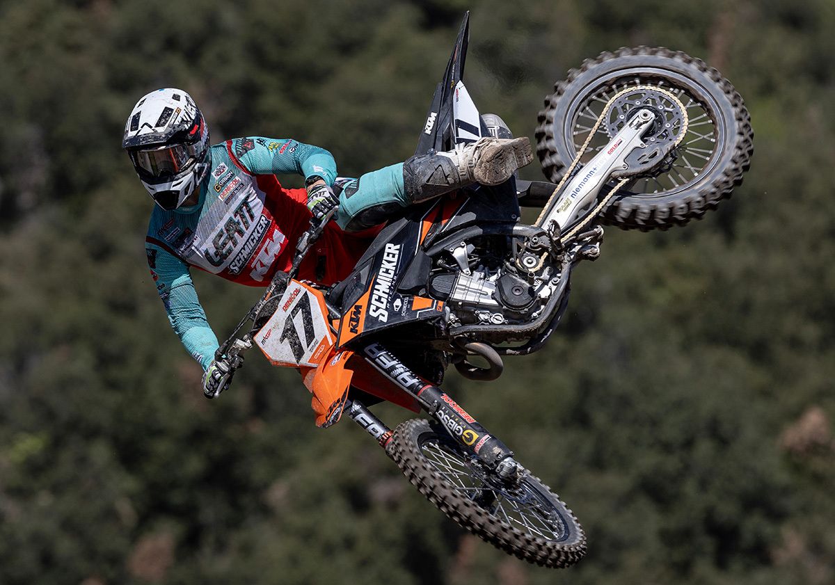 MX Large