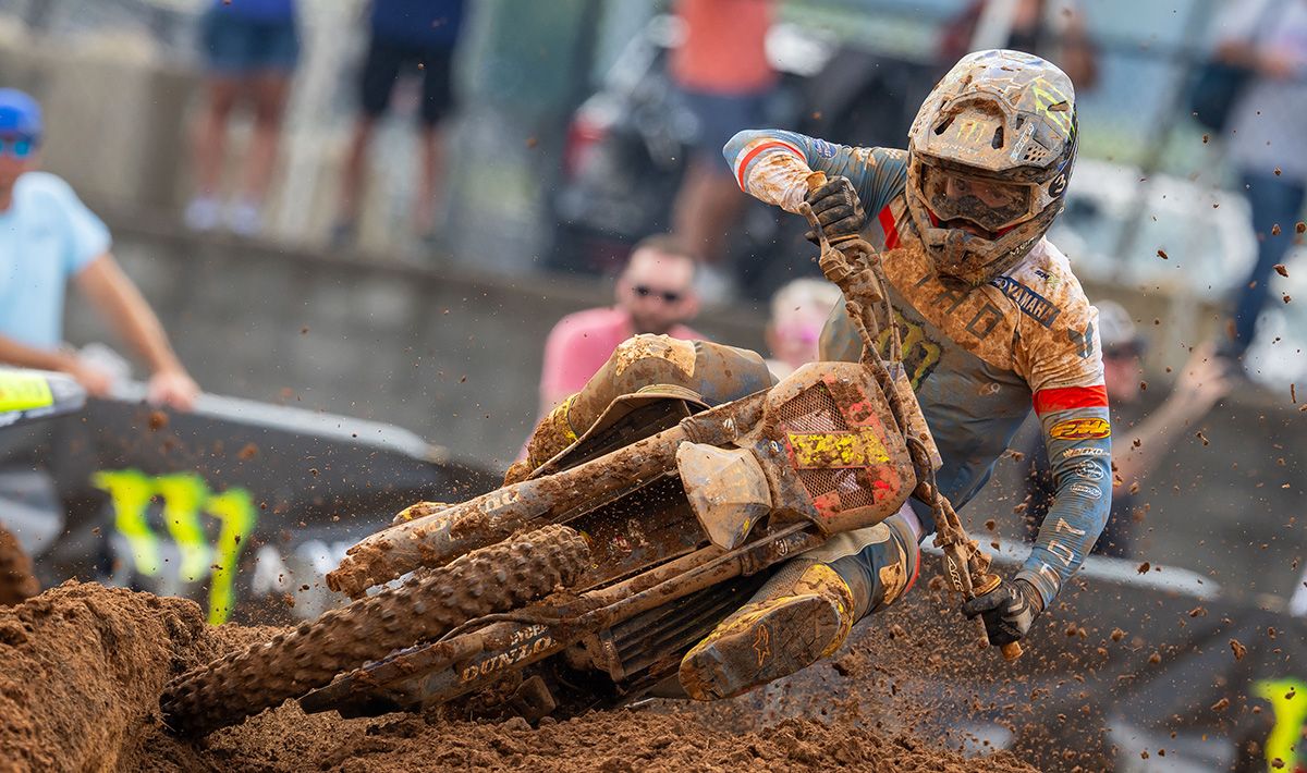 MX Large