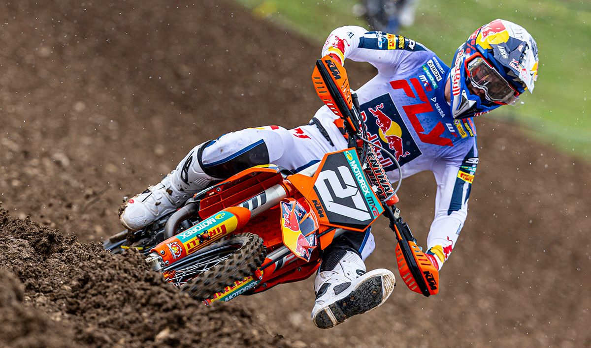 MX Large