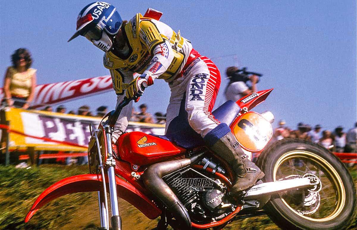 MX Large
