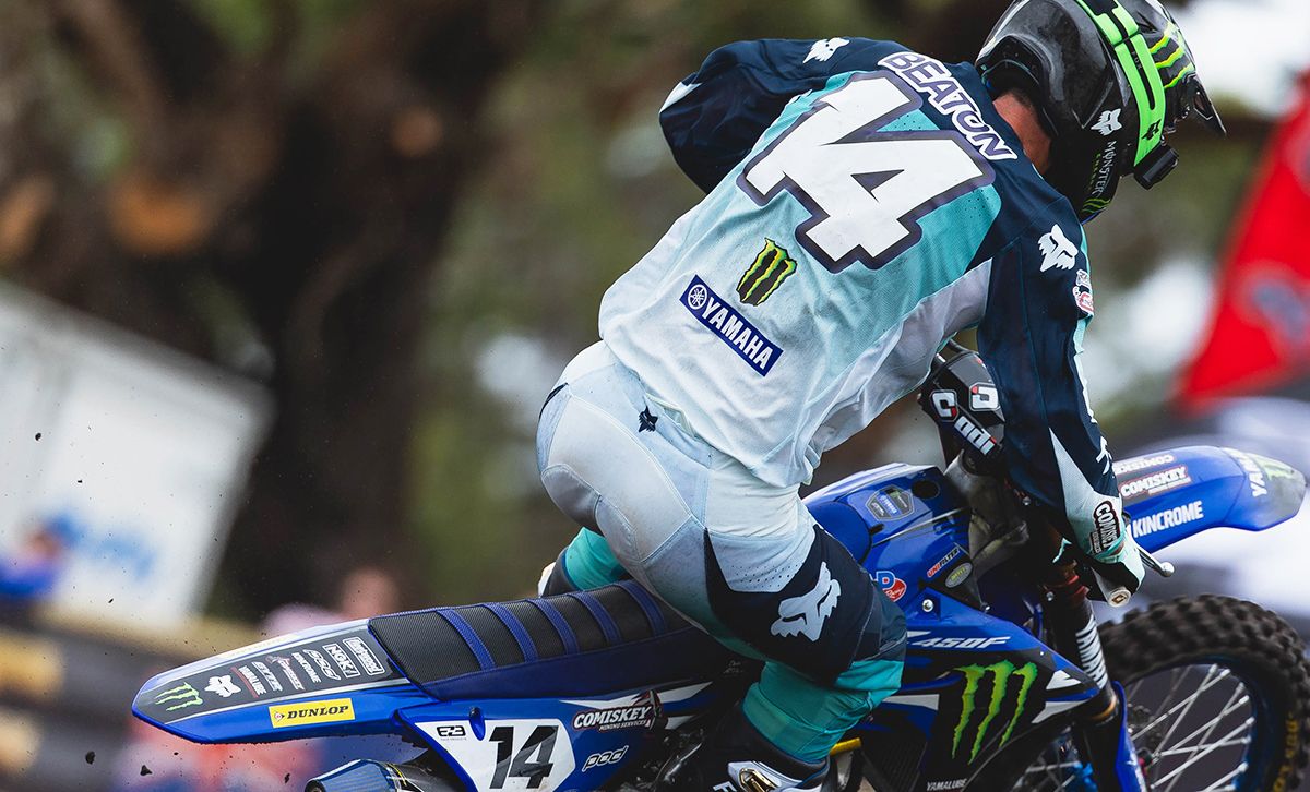 MX Large