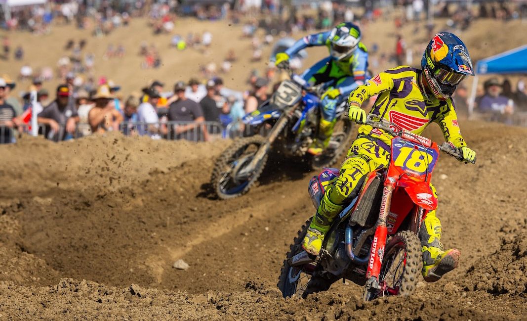 MX Large
