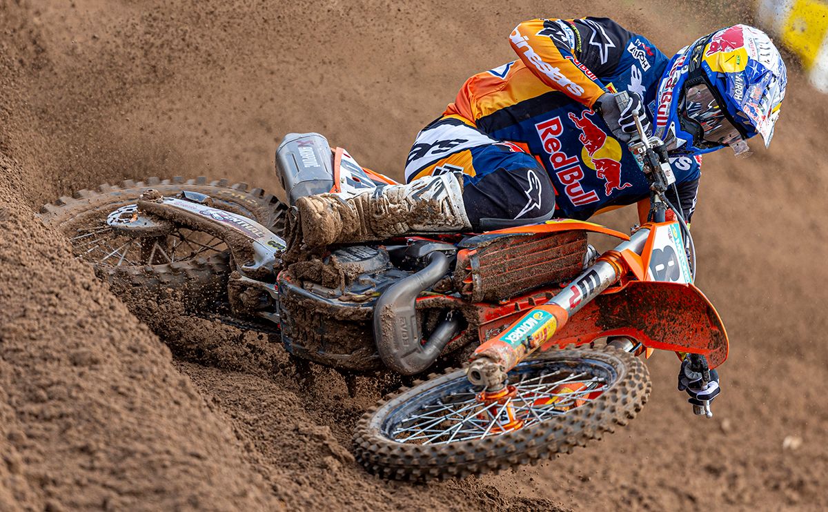 MX Large