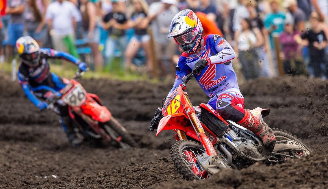 MX Large