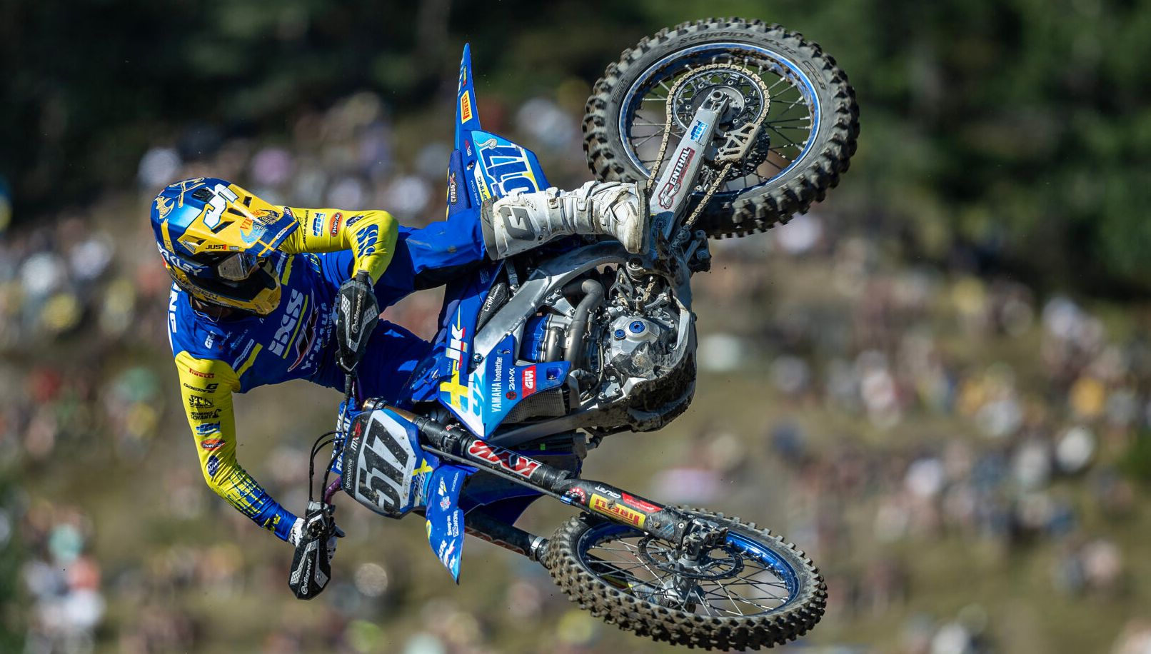 MX Large