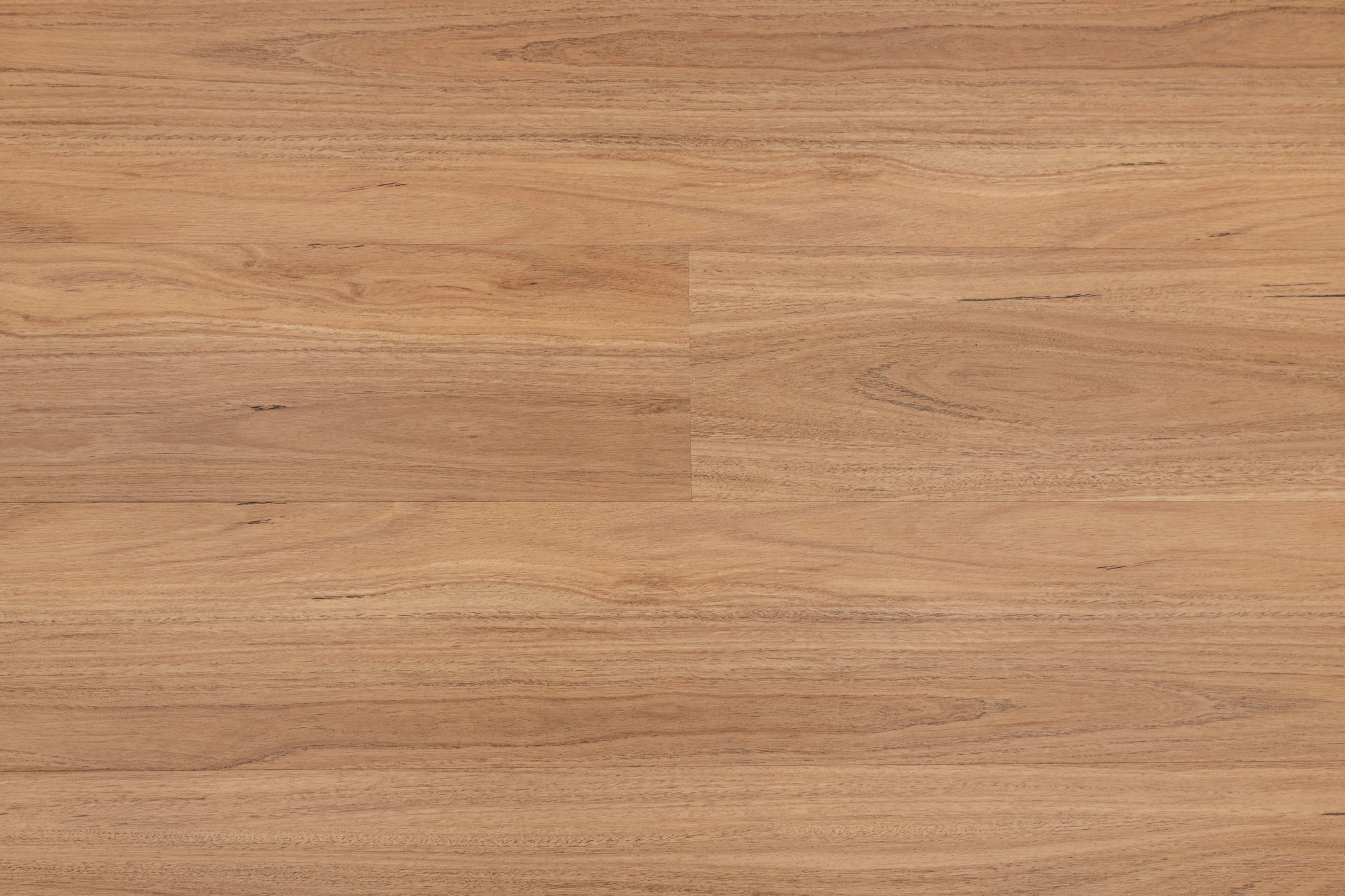 Blackbutt | Sunstar Flooring