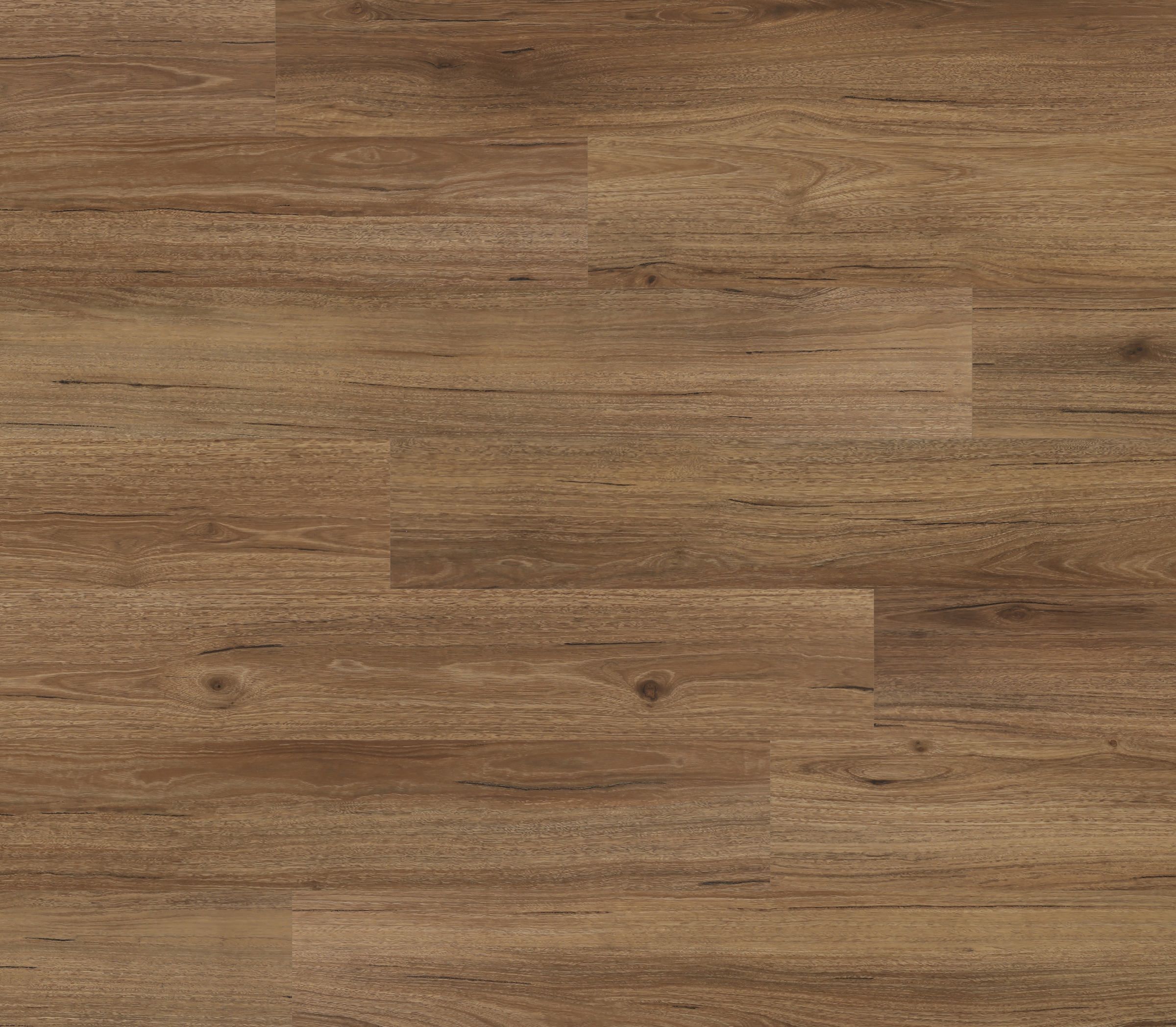 Rustic Spotted Gum | Sunstar Flooring