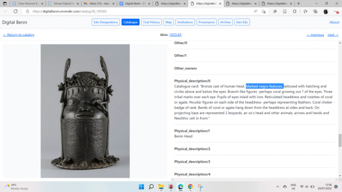 Digital Benin - Use of derogatory, racist and harmful language