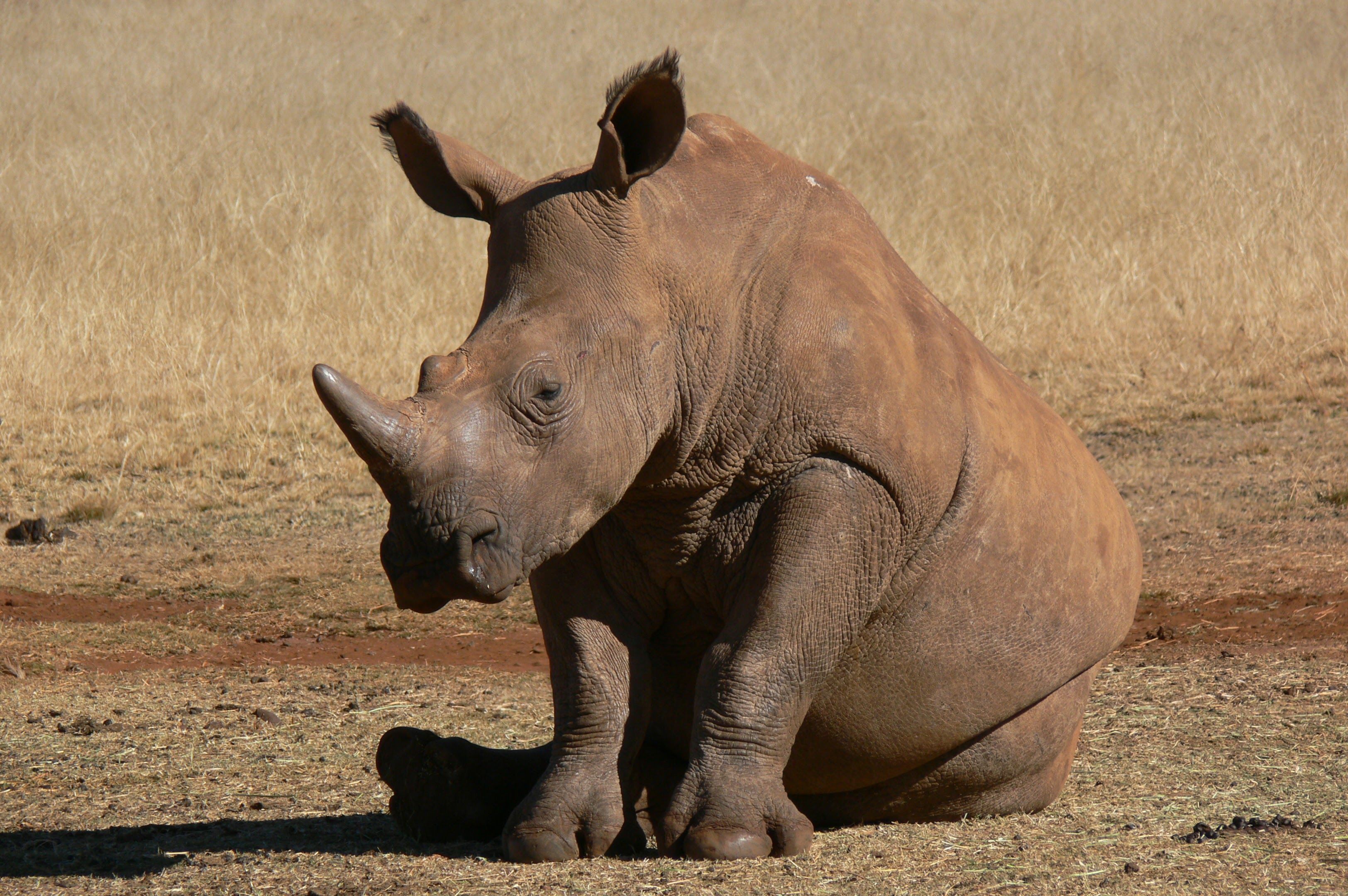 Inspiring unforgettable moments | Famba Famba