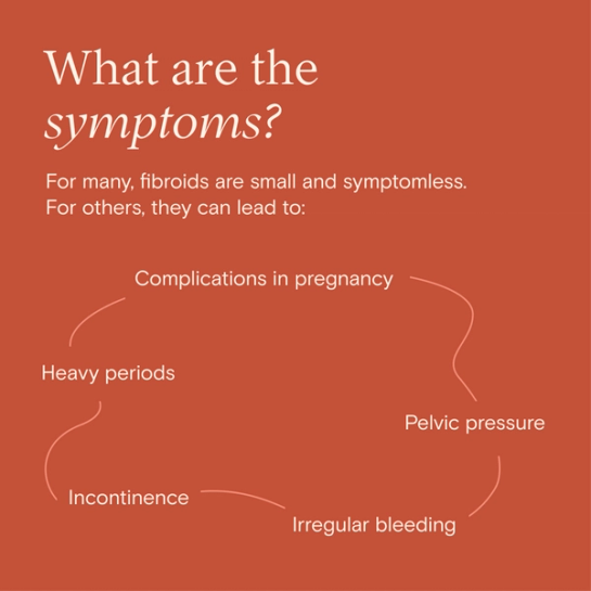 Fibroid Files: Symptoms, Causes, and How to Take Control