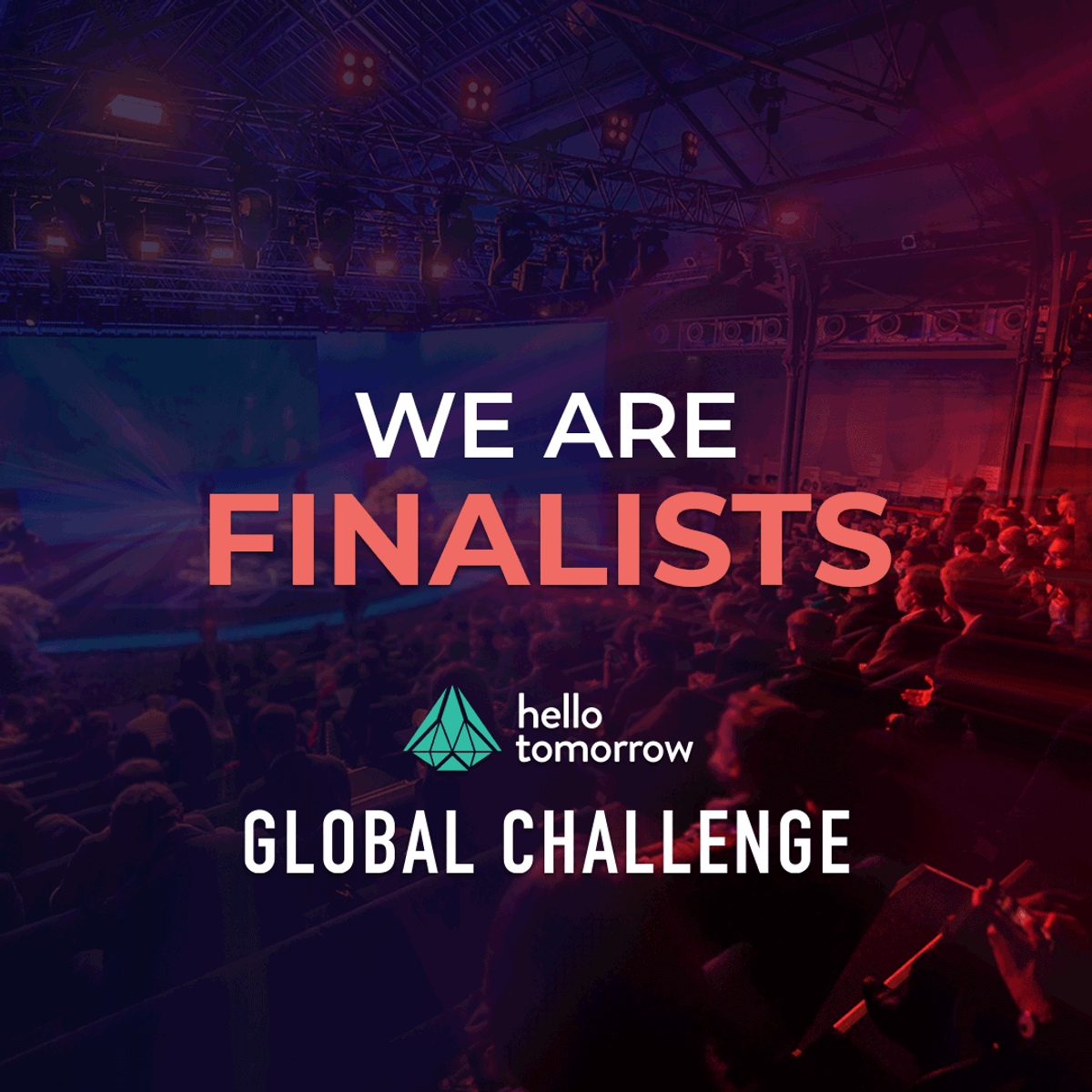 DePoly — PET & rPET plastics explained