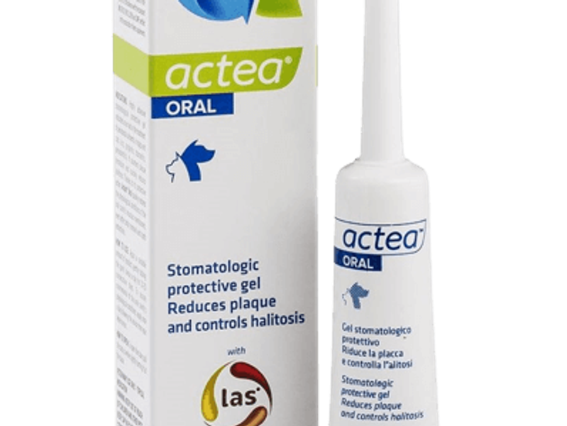 Actea Oral | Pet IV Veteriner Polikliniği