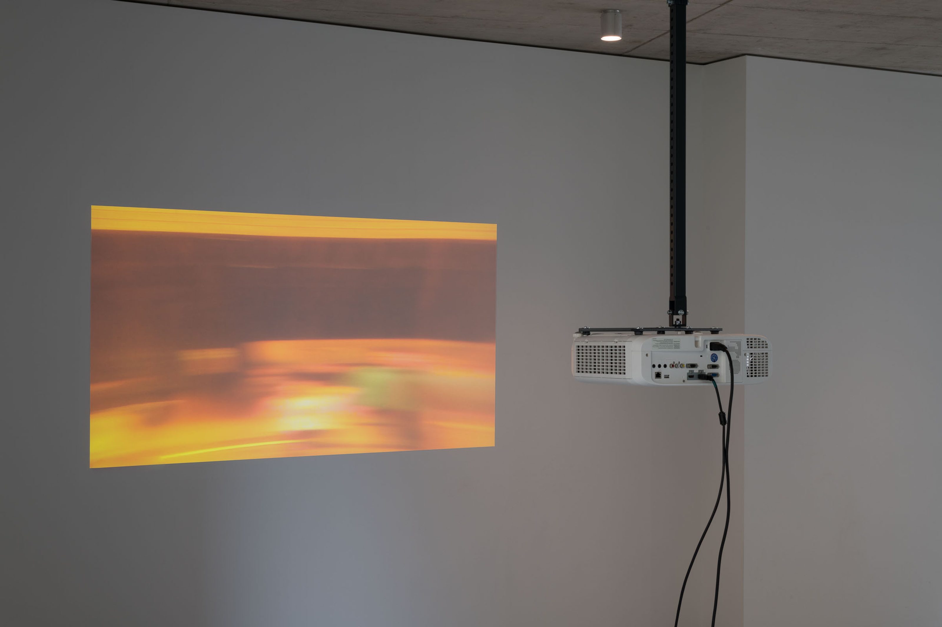 Dora Budor Galerie Molitor — Molitor