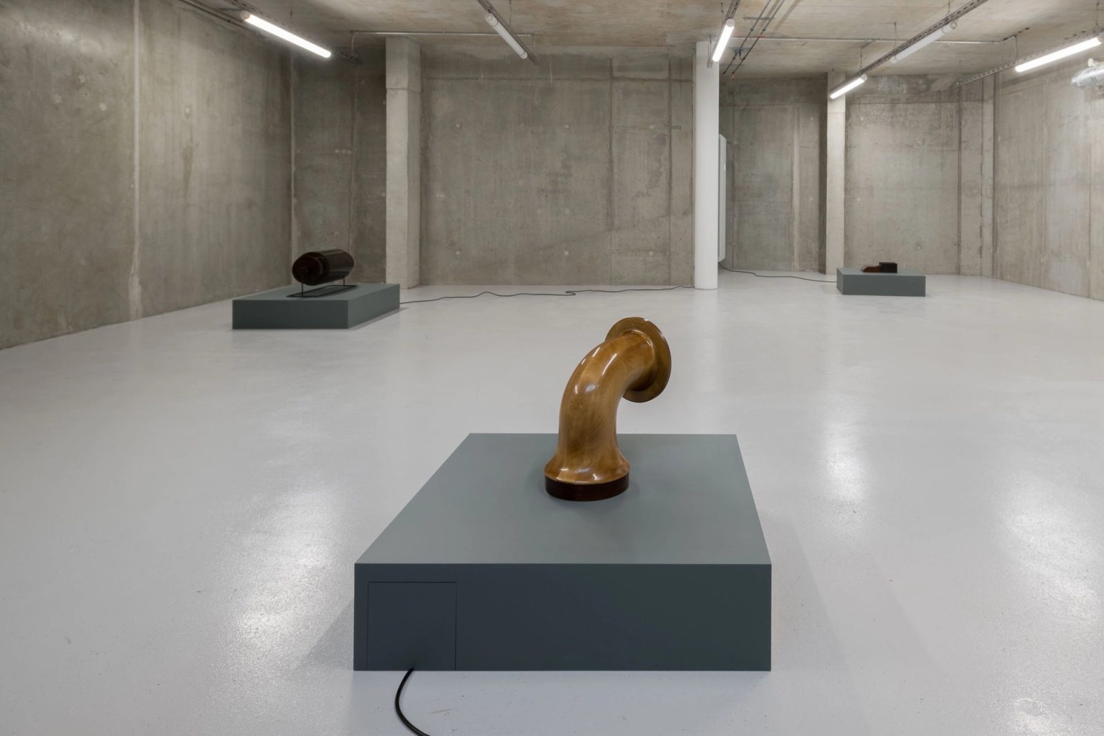 Dora Budor Galerie Molitor — Molitor