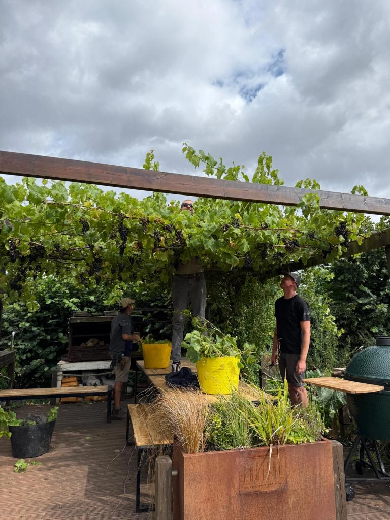Our Farm - Pasture Restaurant Group