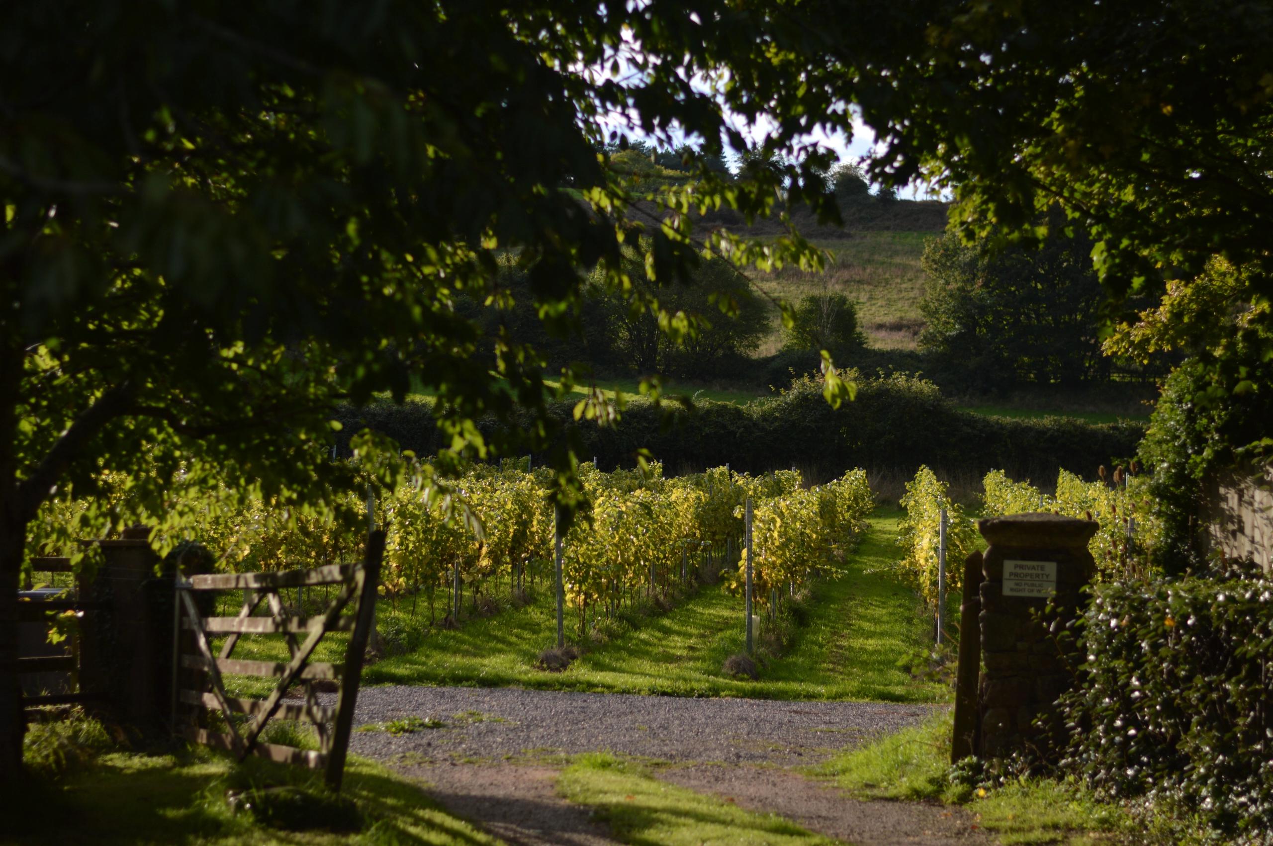 Our Farm - Pasture Restaurant Group