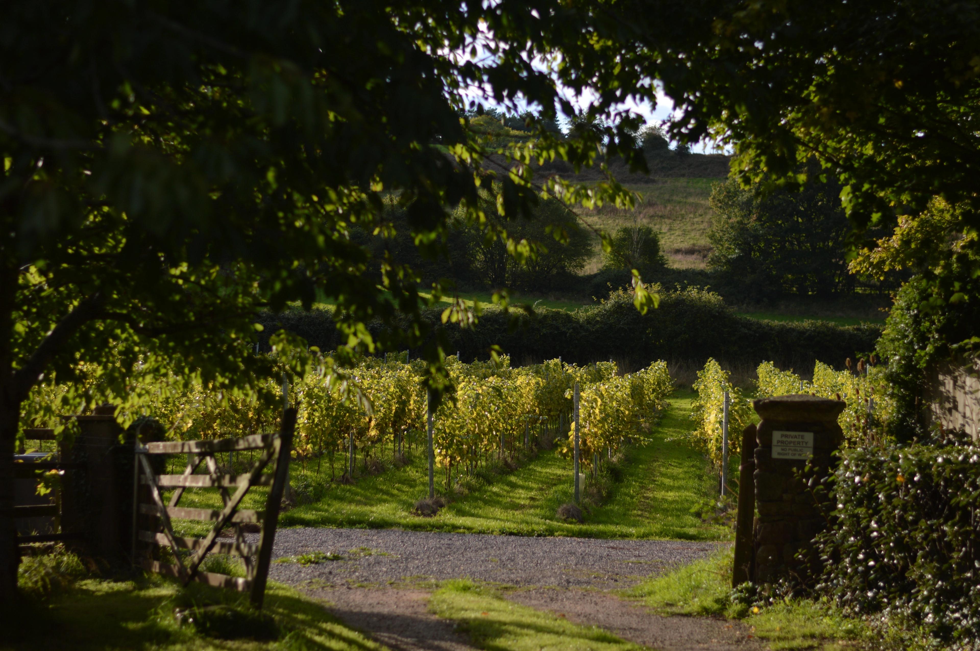 Our Farm - Pasture Restaurant Group