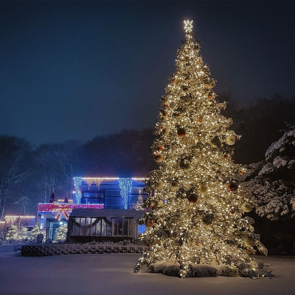 Jul i Aalborg Zoo | Fjord Line