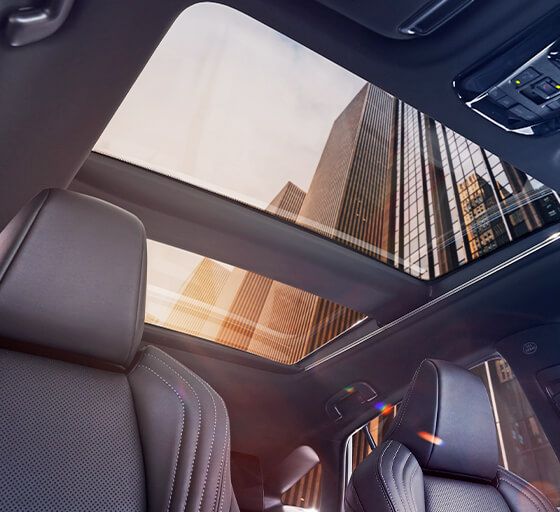 Toyota SUVs | Southeast Toyota Dealers