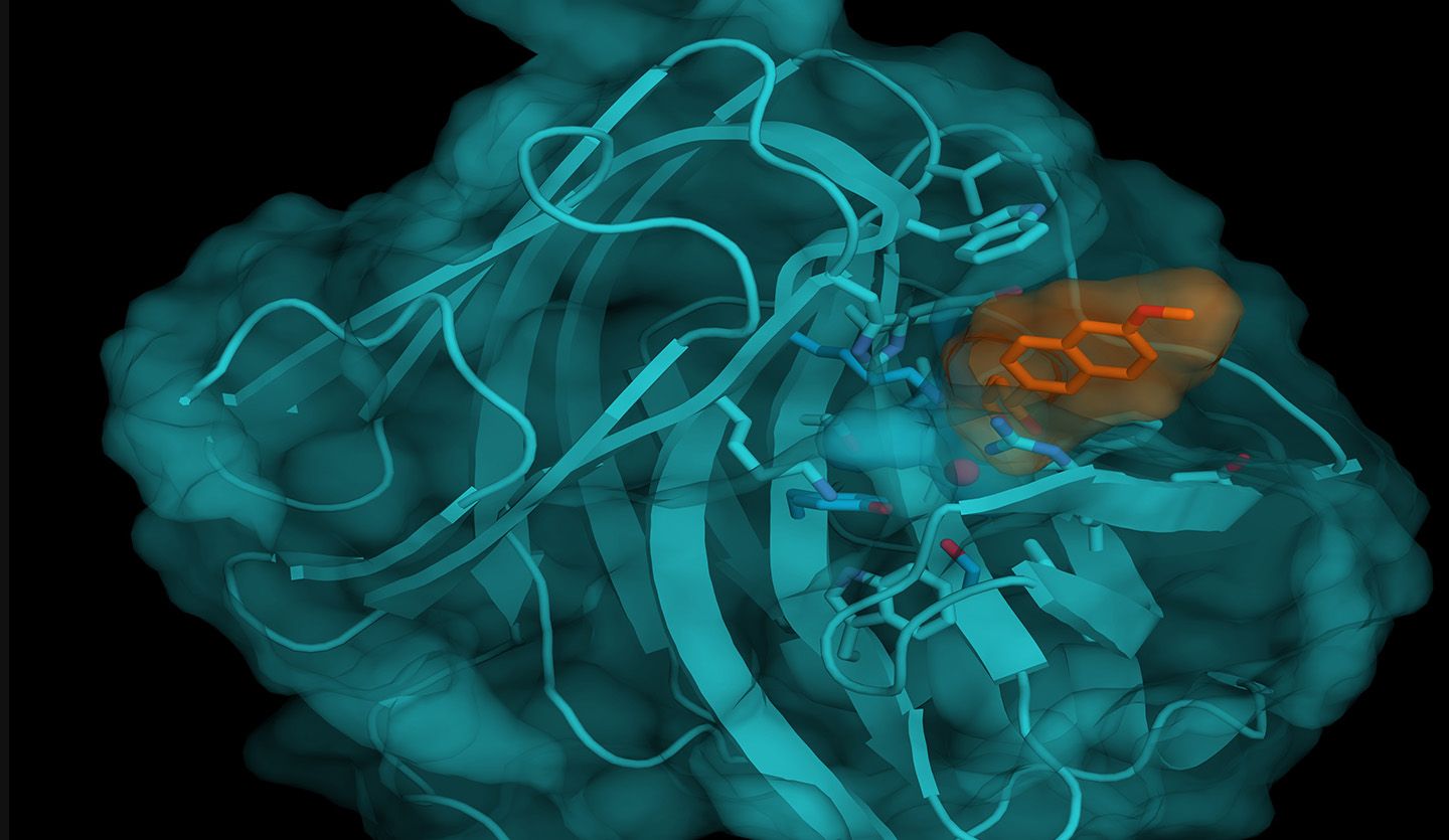 How bio-enzyme innovation is powering up Sunlight | Unilever