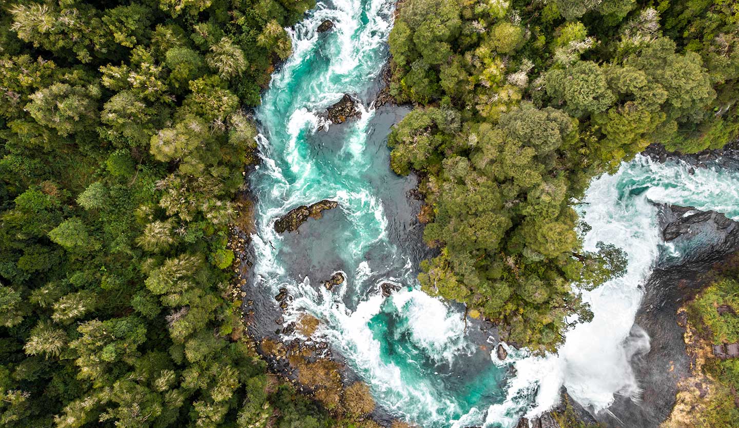 How we will improve the health of our planet | Unilever