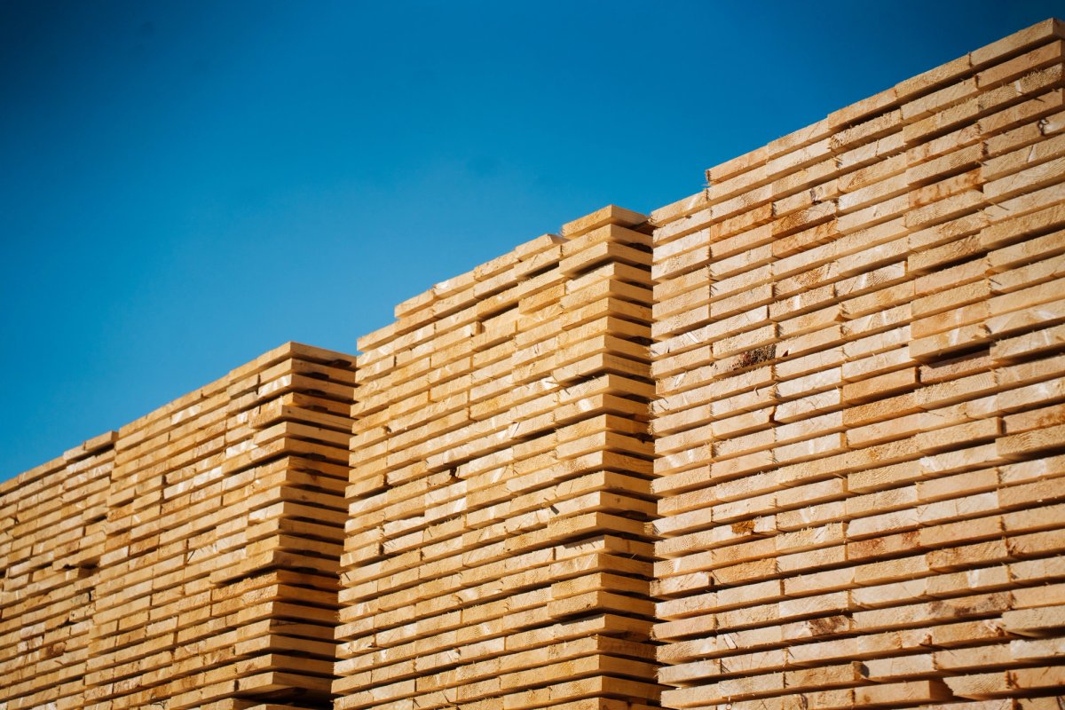Students learn about forestry at the Grande Prairie sawmill. — Canfor