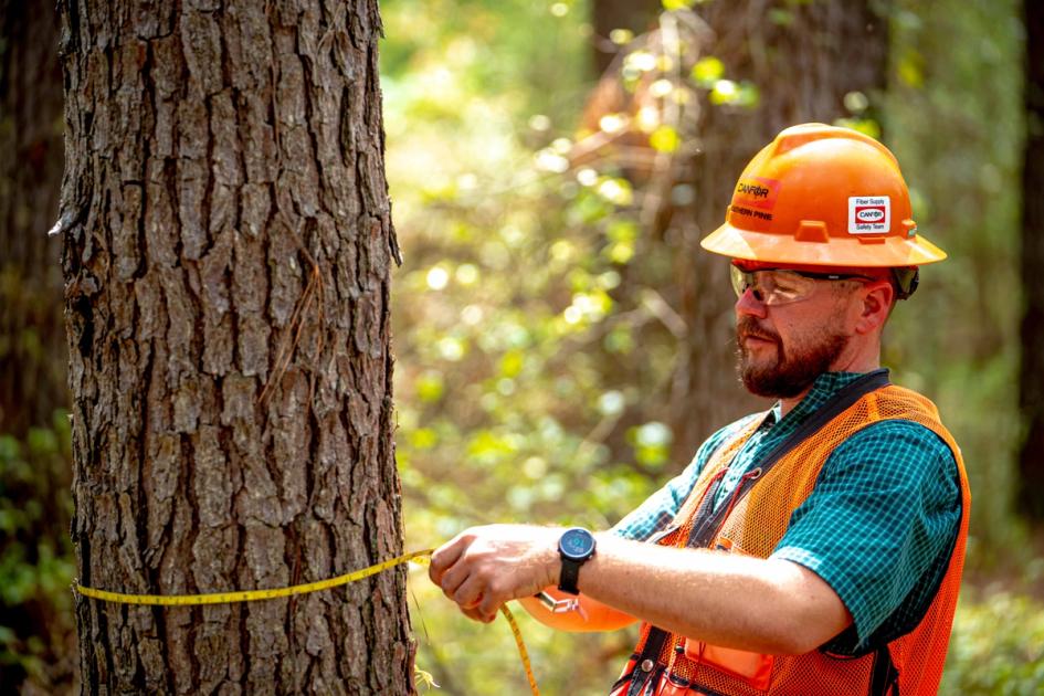 Certifications — Canfor