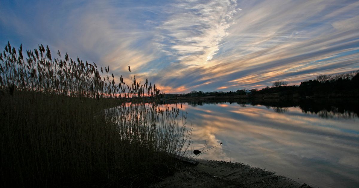 Smith Corner Preserve