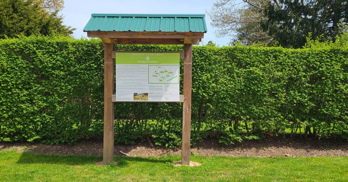 Managing Our Privet at Bridge Gardens