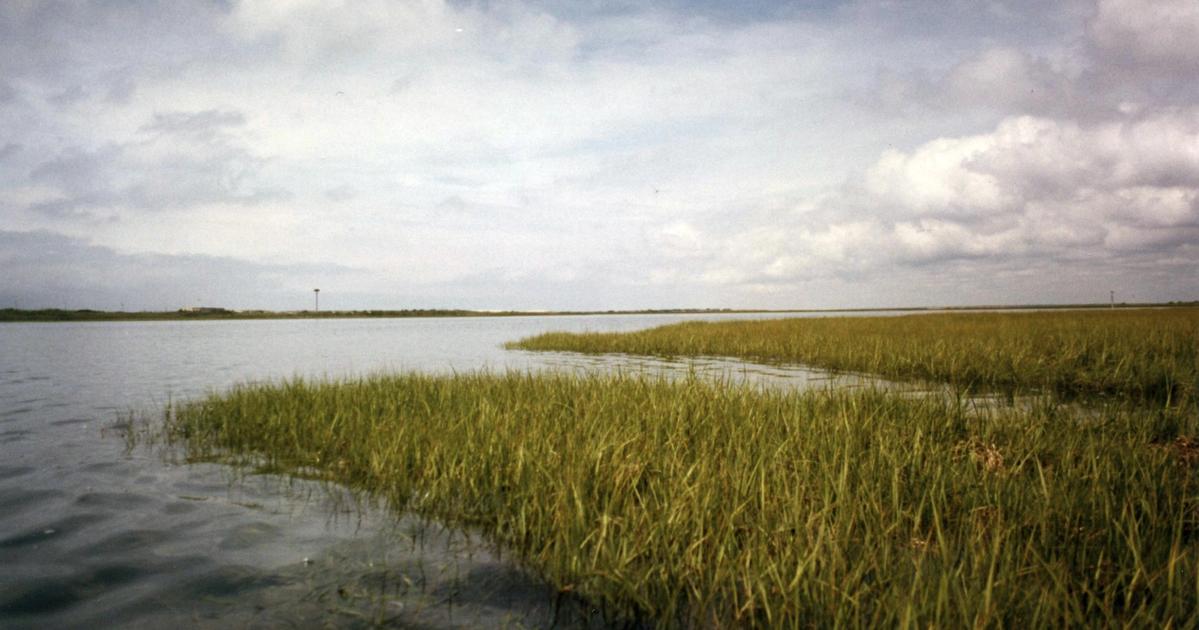 Moriches Bay Preserves