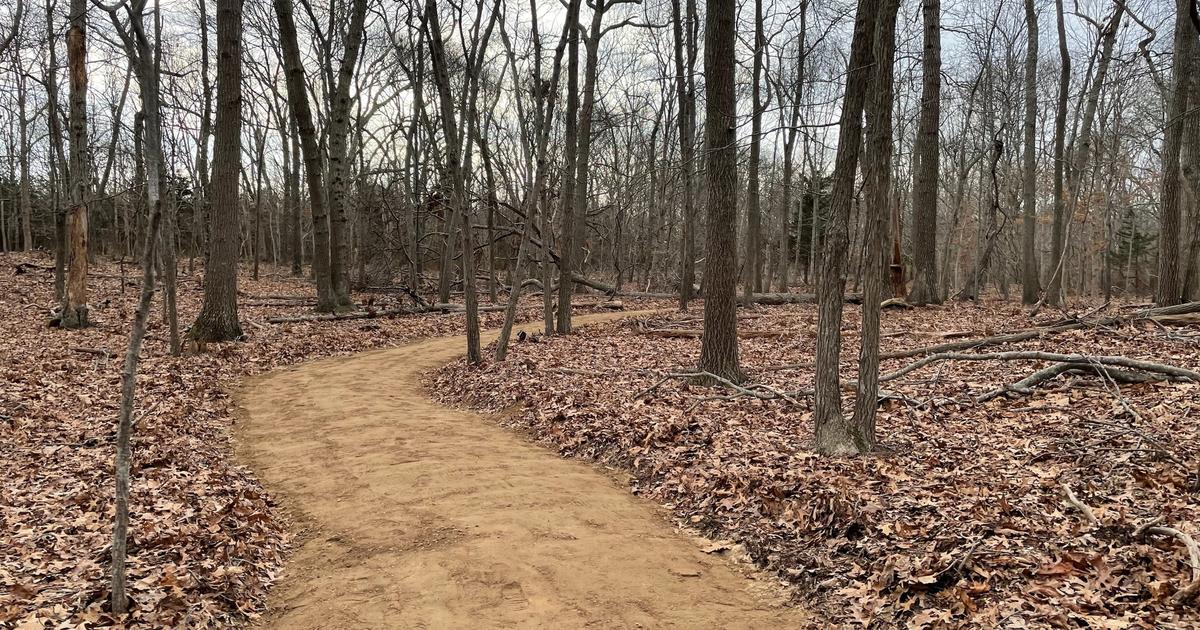 Wolf Preserve: Newly Renovated Trail Loop Improves Accessibility