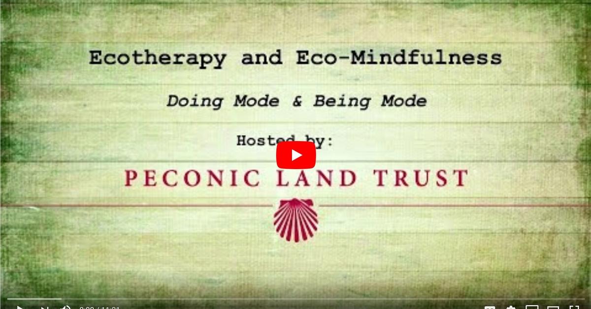 New Series: Eco-Mindfulness, Doing Mode-Being Mode