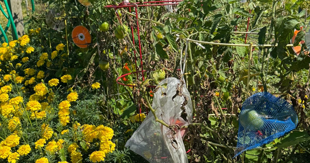 Growing Community at the Ag Center