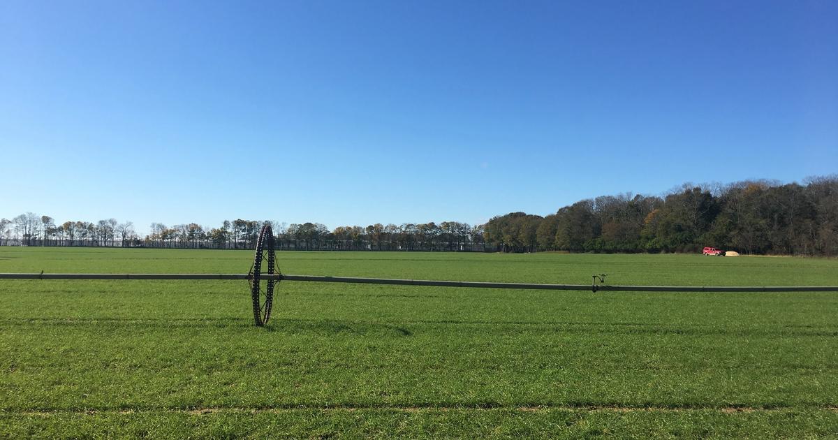 Hallockville Museum Farm and Hallock State Park (former KeySpan ...