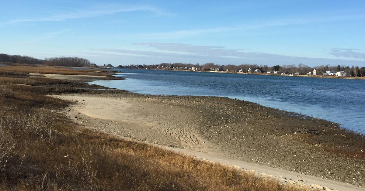 Paul Stoutenburgh Preserve