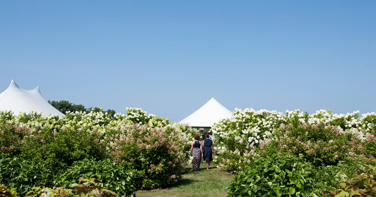 Donor Spotlight | Dede Moan: Through Farms and Fields Personifies the ...