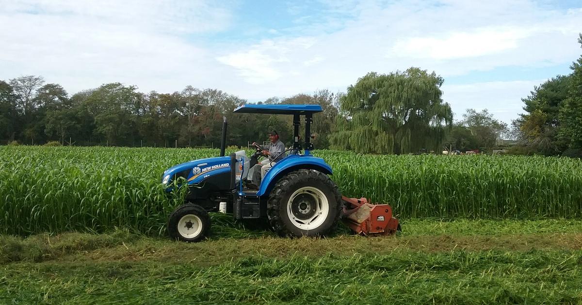 Through Farms & Fields 2021 : A Virtual Celebration of Our Local Bounty