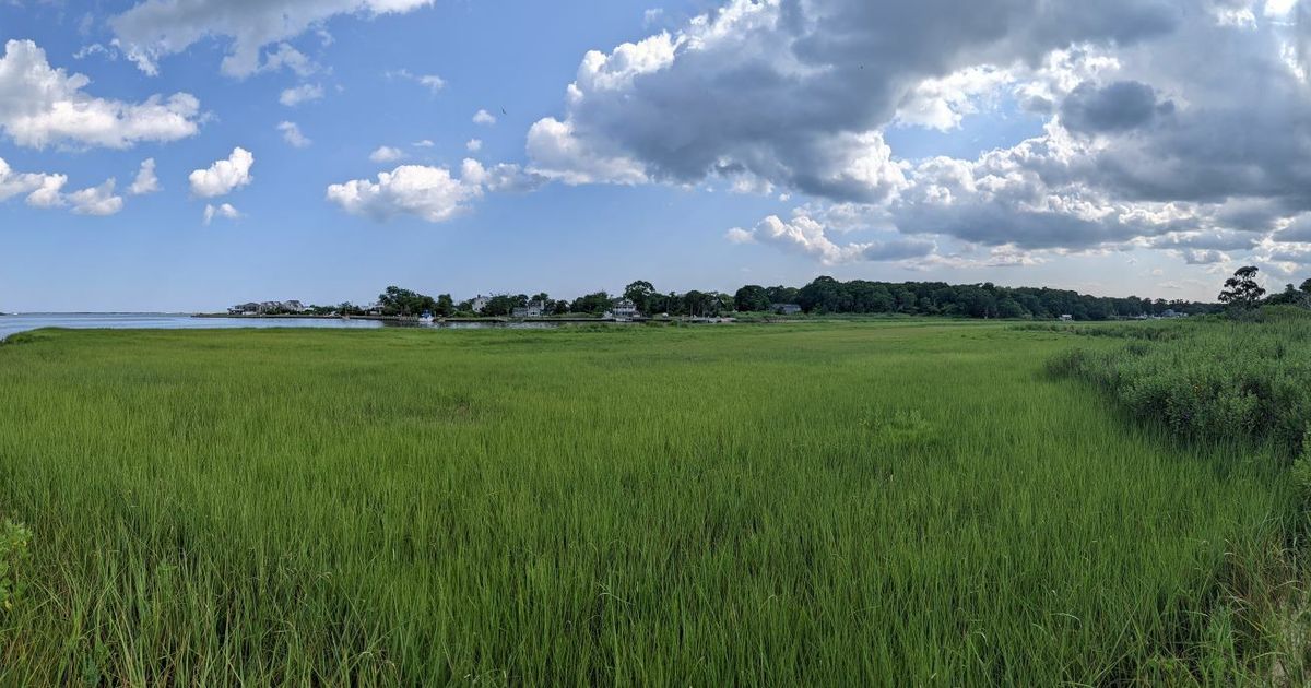 Restoration Completed at Forge River Preserve