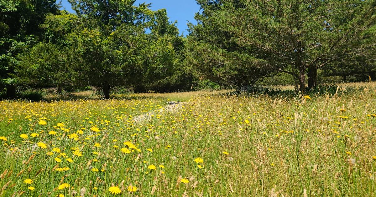 Where are they now? | Matt Swain, from Intern to Vice President