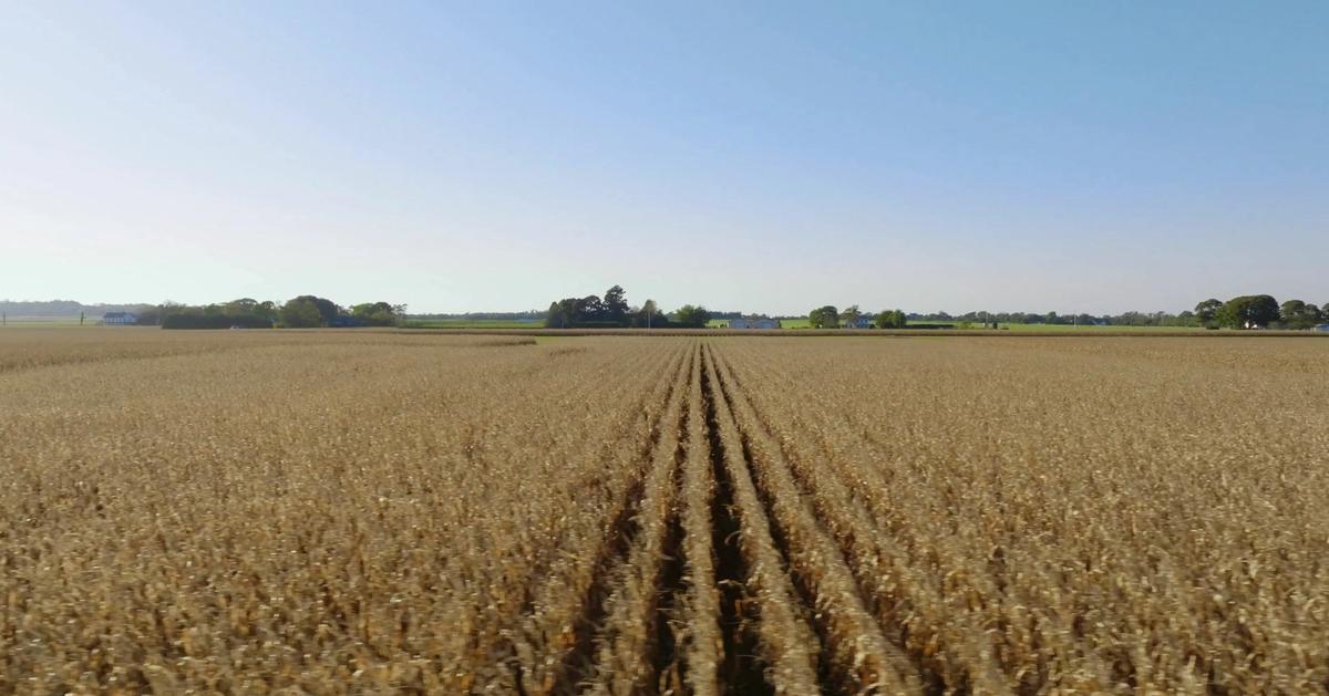 Peconic Land Trust and Mattituck Farm Holdings Announce Sale of ...