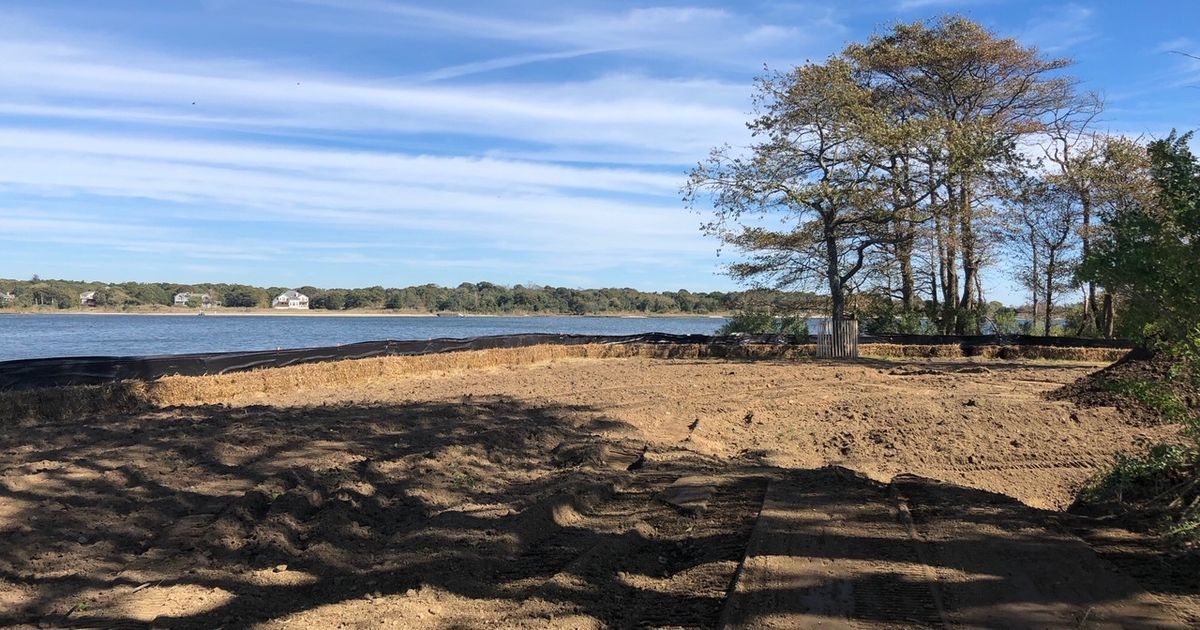 Forge River Restoration Begins