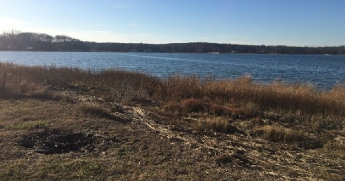 More Great News for Conservation on Conscience Bay